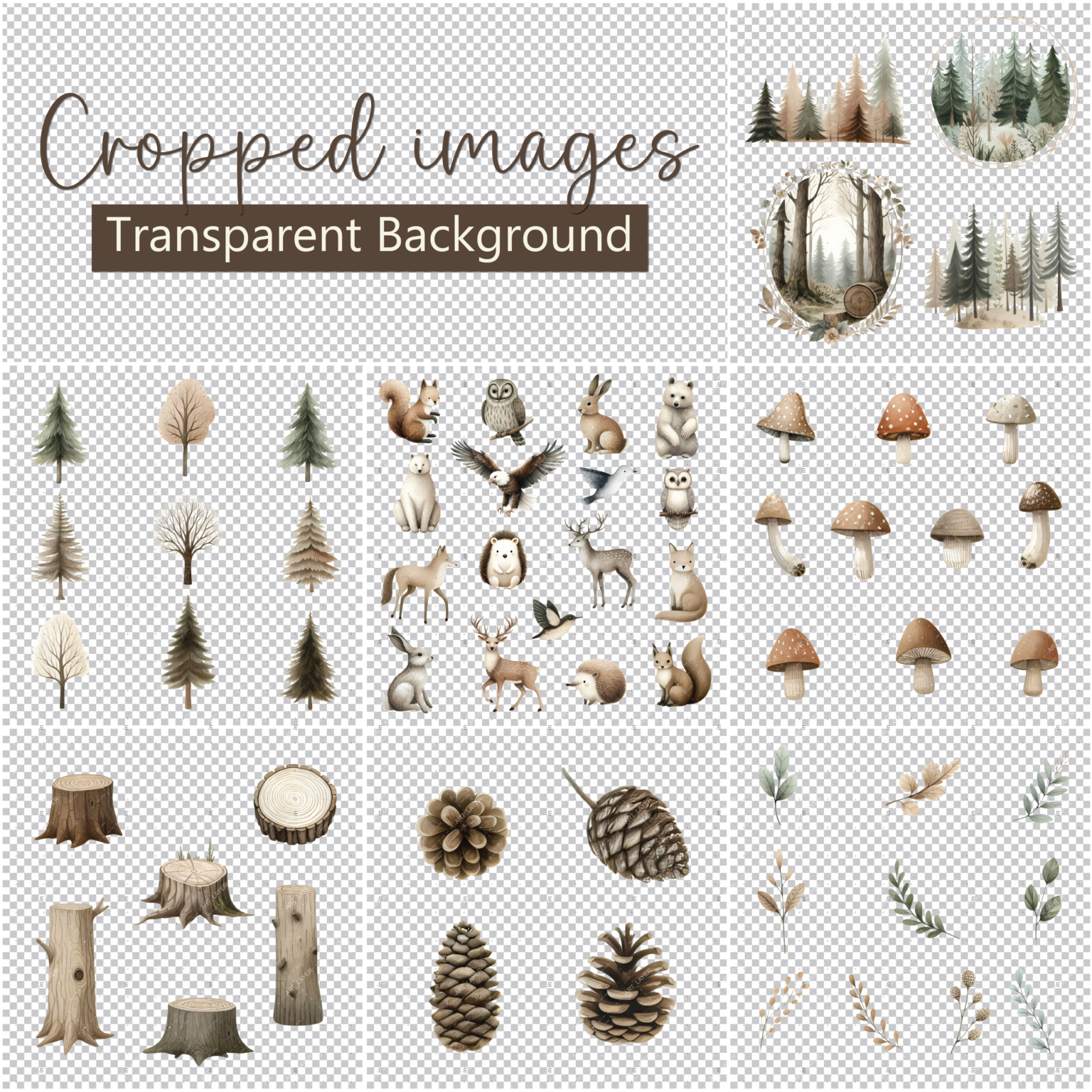 Enchanted Forest Digital Clipart Collection - Rustic Woodland PNG Elements - Art In Layer